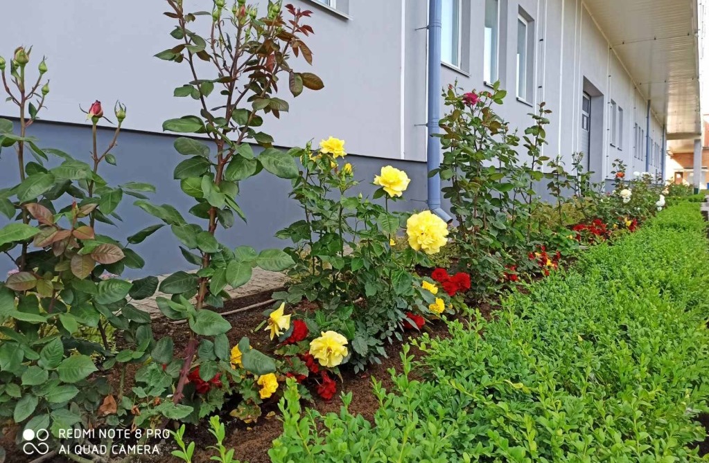 Winners of the Second Stage of the Landscape Design Contest - OJSC ...