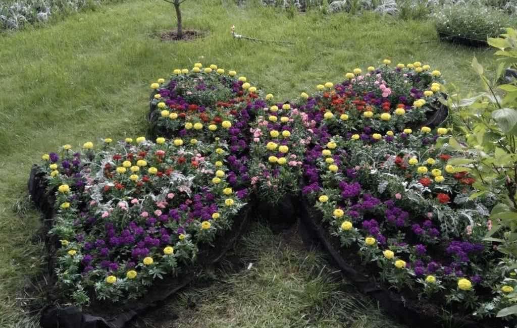Winners of the Second Stage of the Landscape Design Contest - OJSC ...