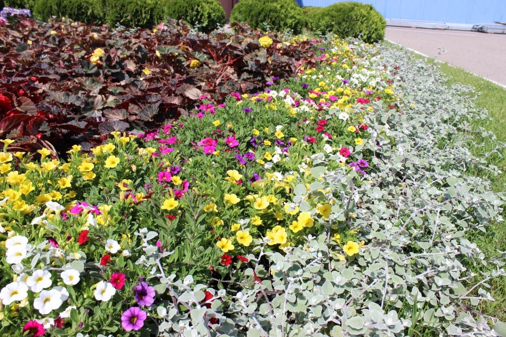Winners of the Second Stage of the Landscape Design Contest - OJSC ...