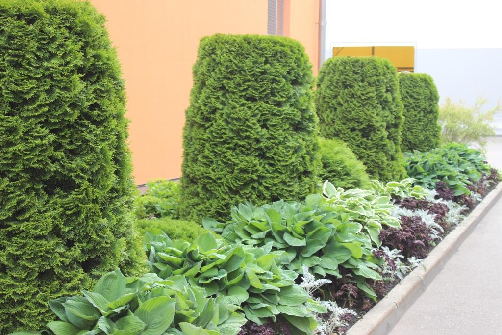 Winners of the Second Stage of the Landscape Design Contest - OJSC ...