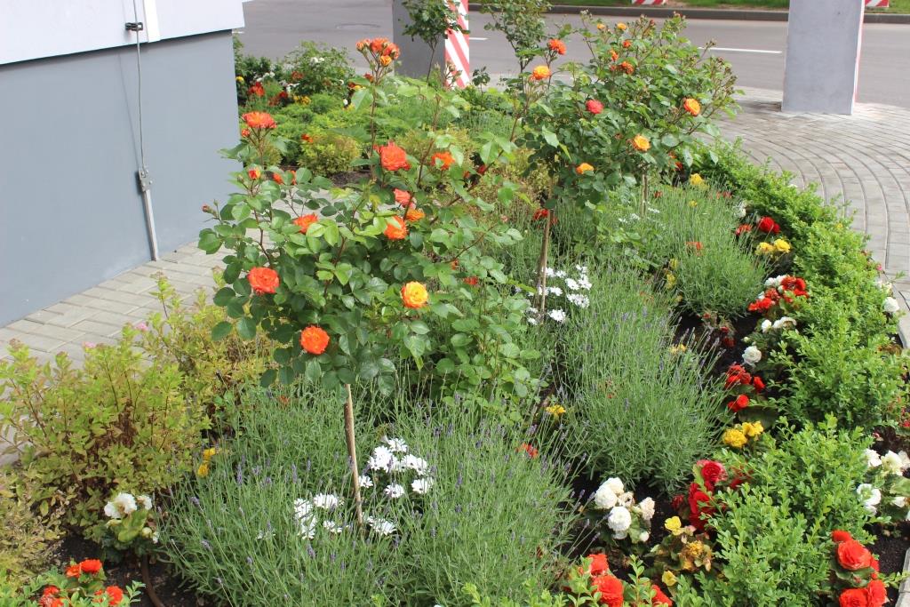 Winners of the Second Stage of the Landscape Design Contest - OJSC ...