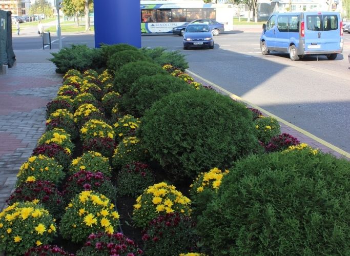 Final 3rd Stage of the Landscape Design Contest - OJSC "Grodno Tobacco ...