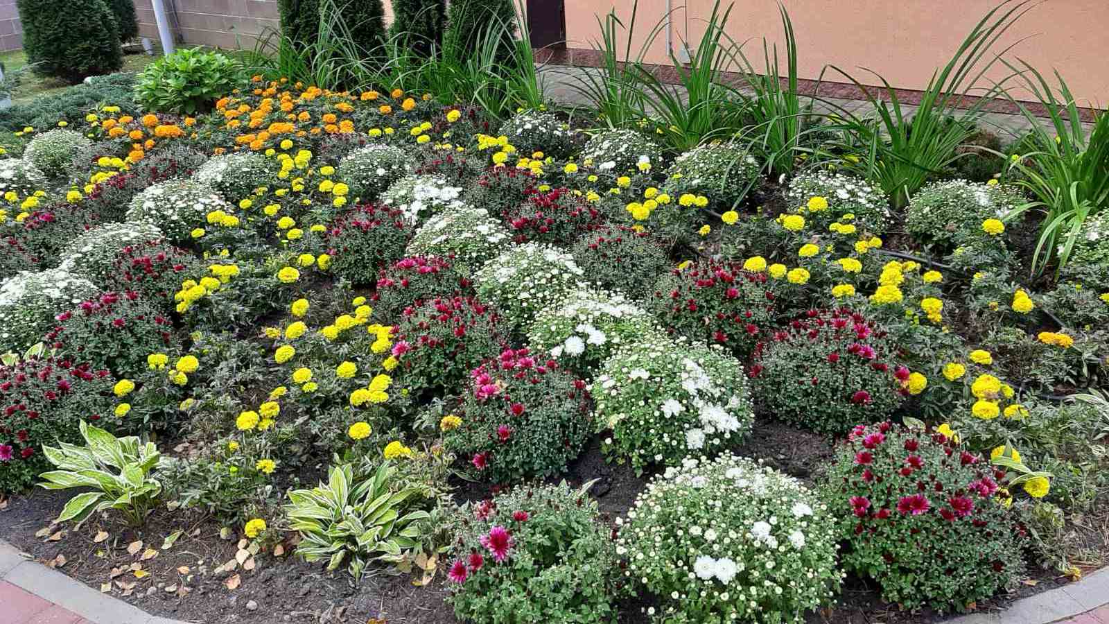 Final 3rd Stage of the Landscape Design Contest - OJSC "Grodno Tobacco ...